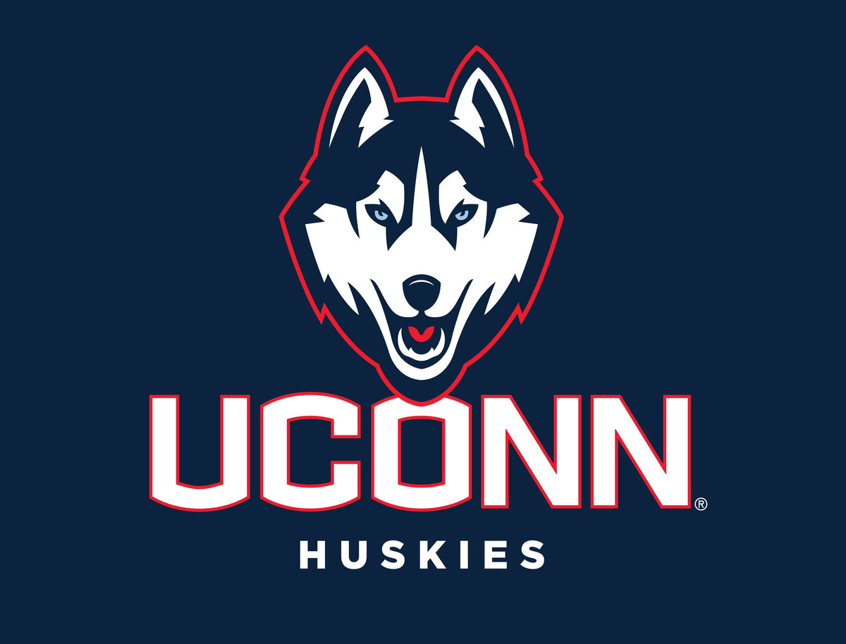 Huskies UConn Color Block Yardsy Sign
