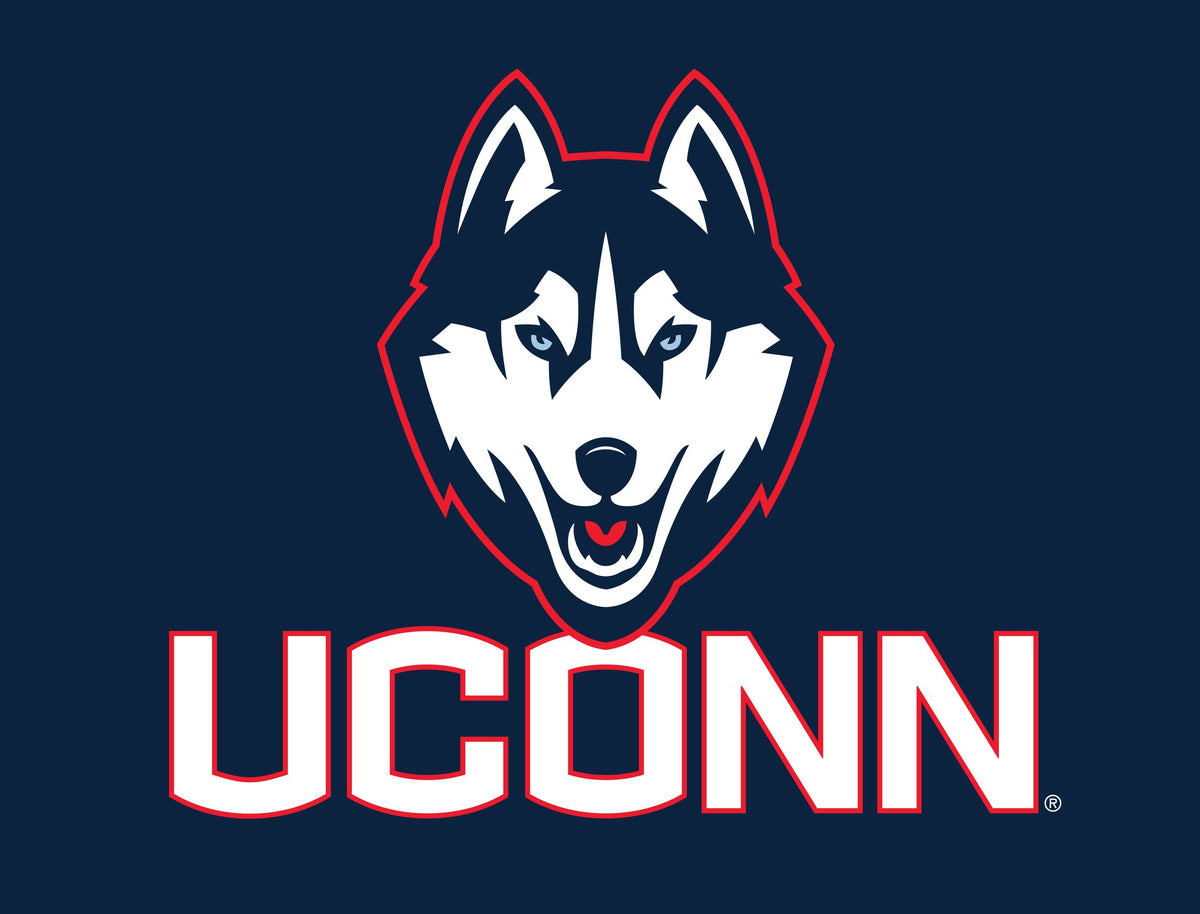 UConn Huskies Color Block Yardsy Sign